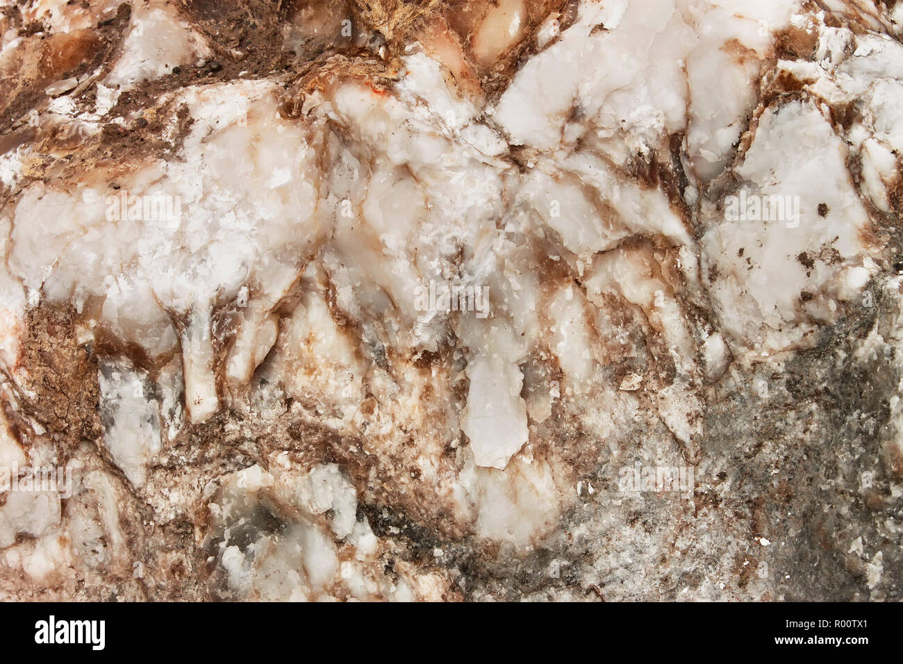 Prehistoric deposits hi-res stock photography and images - Alamy