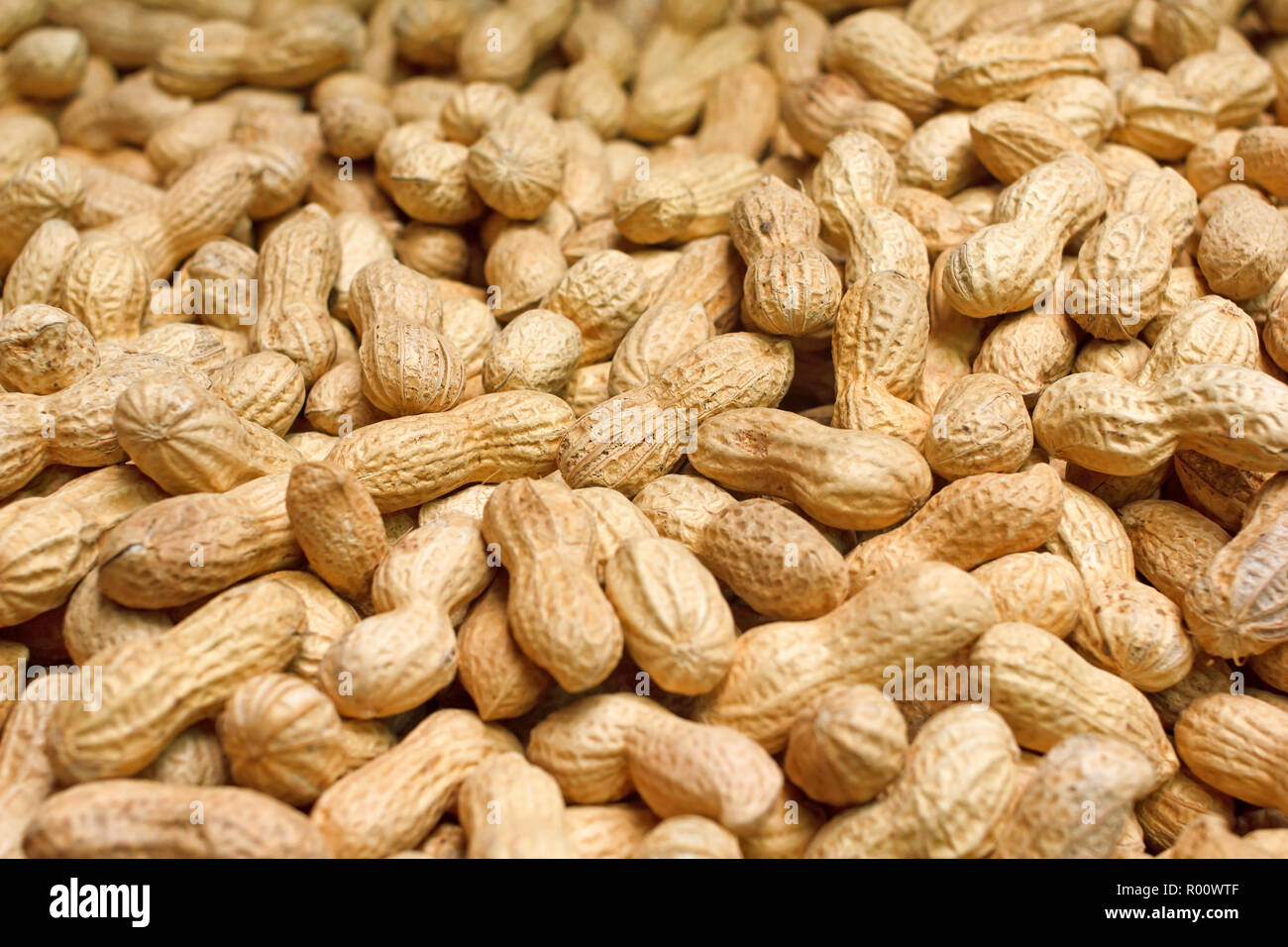 Golden peanuts in shells Stock Photo - Alamy