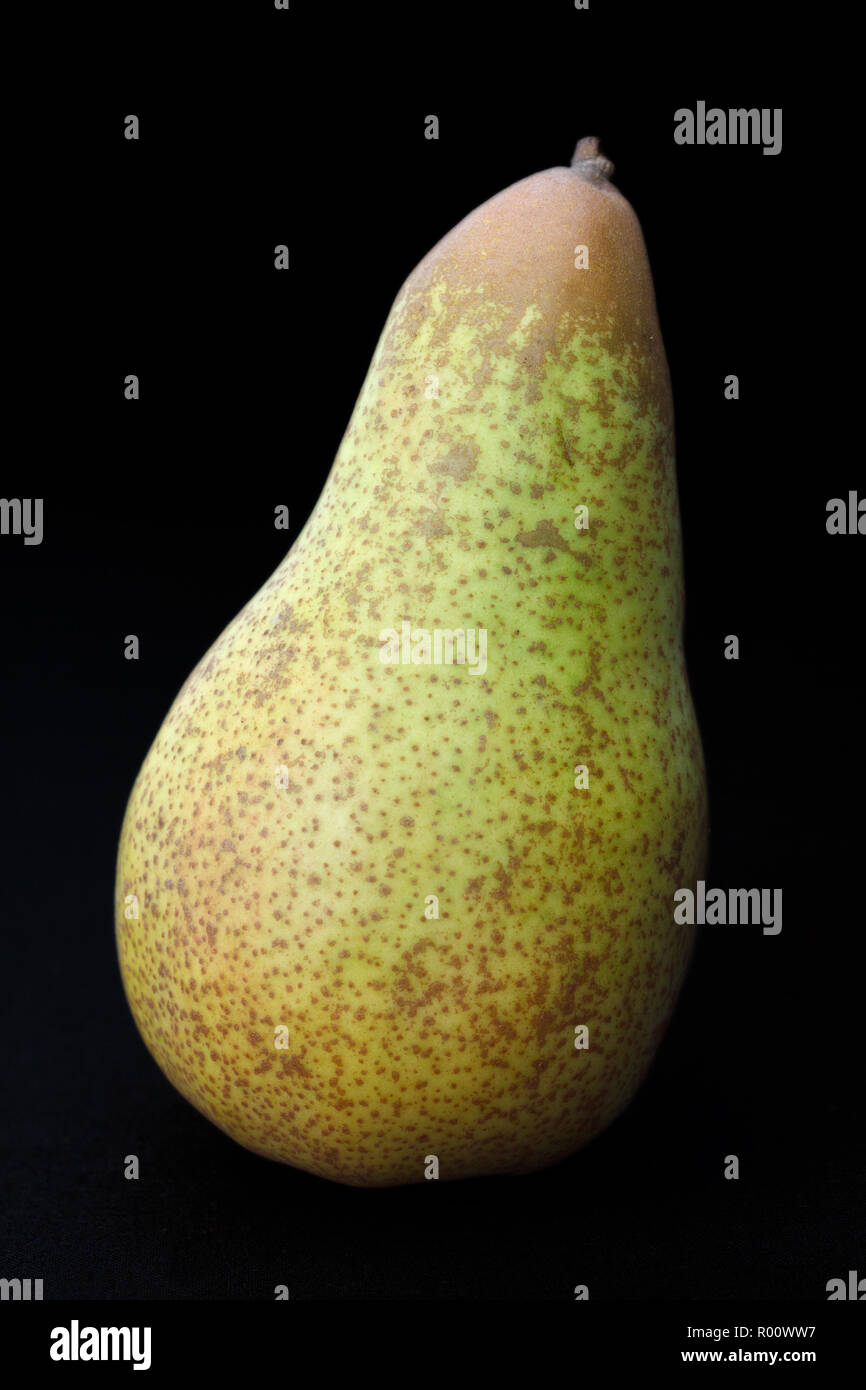 Single standing whole pear isolated on black Stock Photo - Alamy