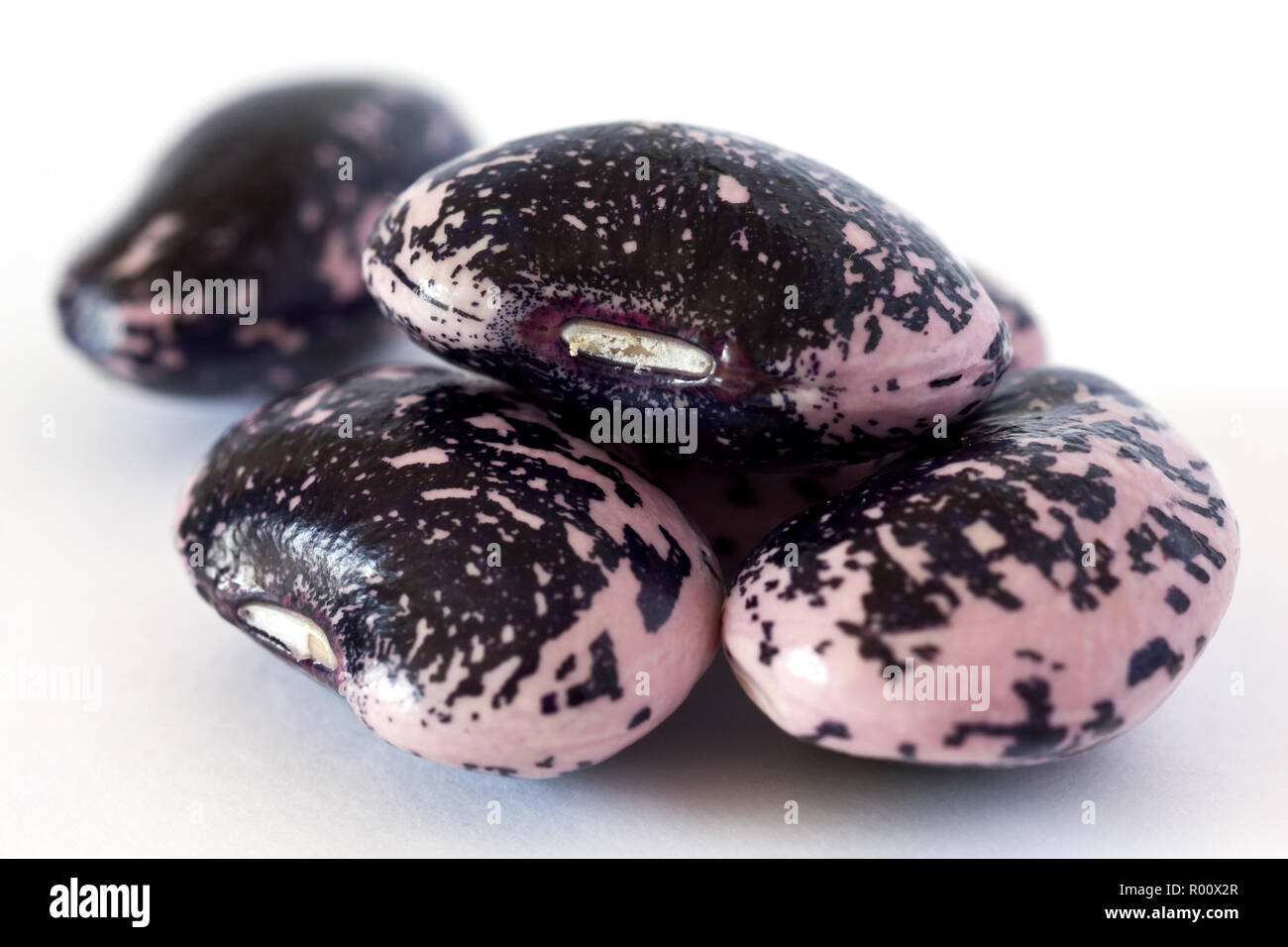 Purple kidney beans on white Stock Photo - Alamy