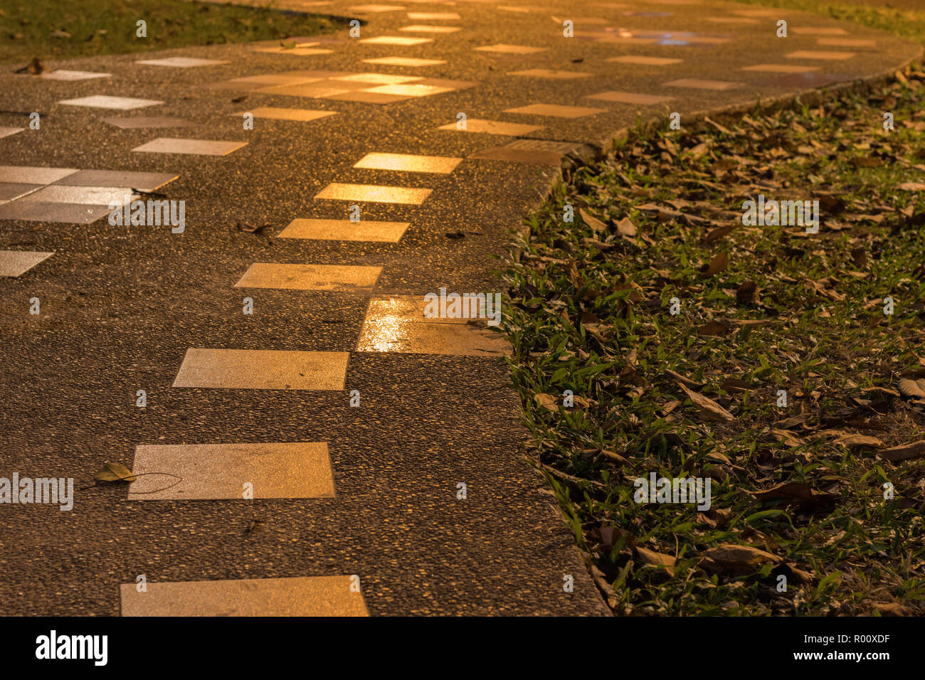 Path texture hi-res stock photography and images - Alamy