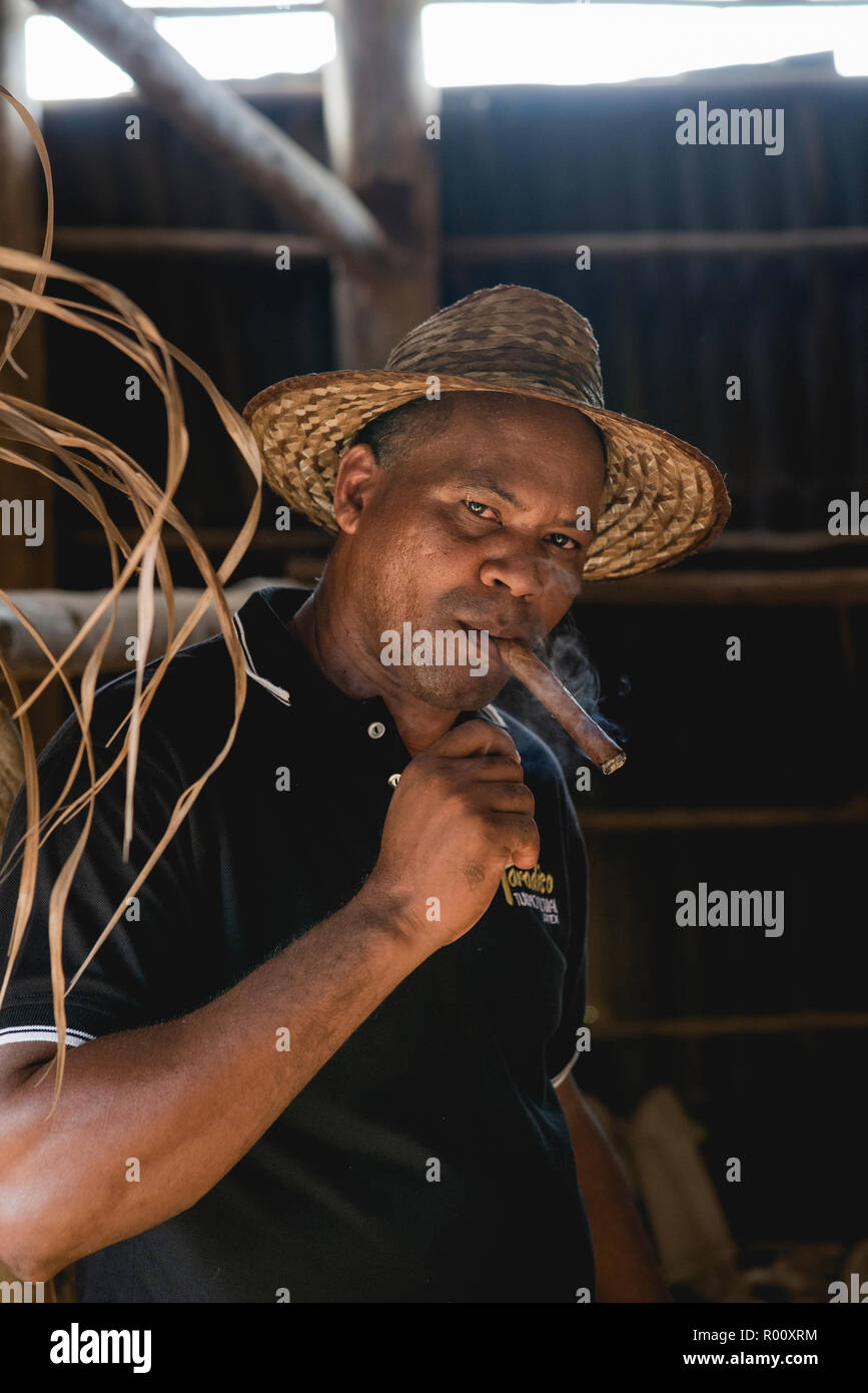 Cuba cuban cigar smoke hi-res stock photography and images - Alamy