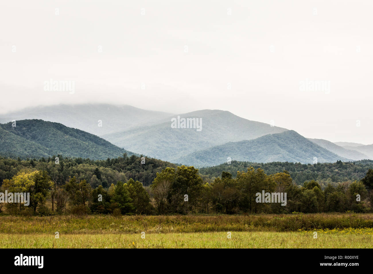 Foggy Blue Ridge Mountains with haze Stock Photo - Alamy