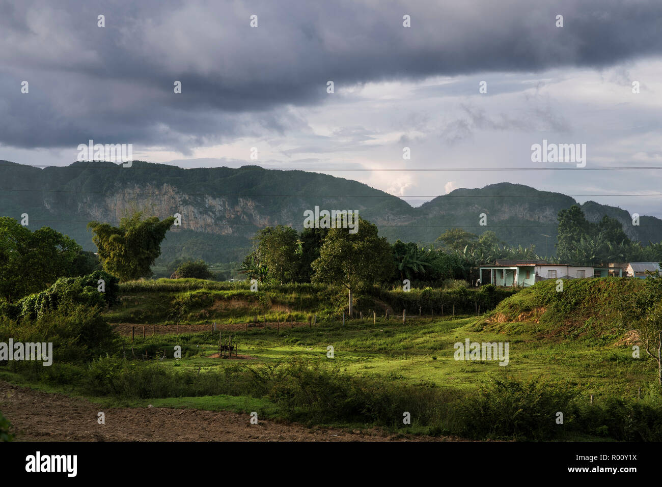 Beautiful view of the rainforest and mogotes (mountains) in Vinales ...