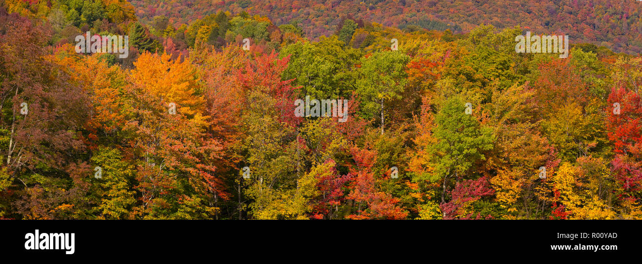 Fall foliage in the mountains hi-res stock photography and images - Alamy