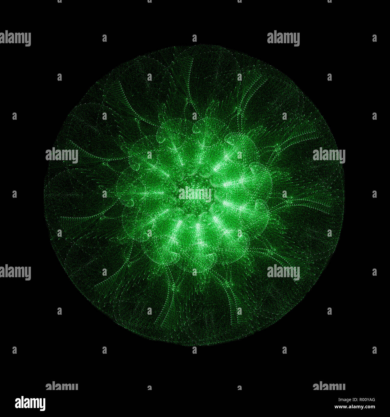 Abstract Green Flower Isolated On Black Background Stock Photo - Alamy