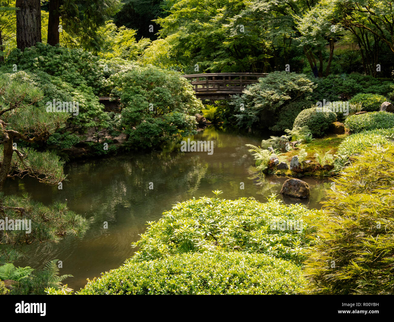 Bridge over a pond in a lush park Stock Photo - Alamy