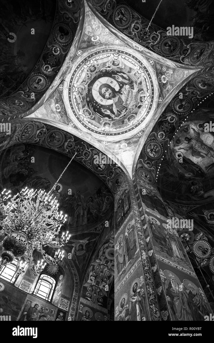 Blood tourist Black and White Stock Photos & Images - Alamy