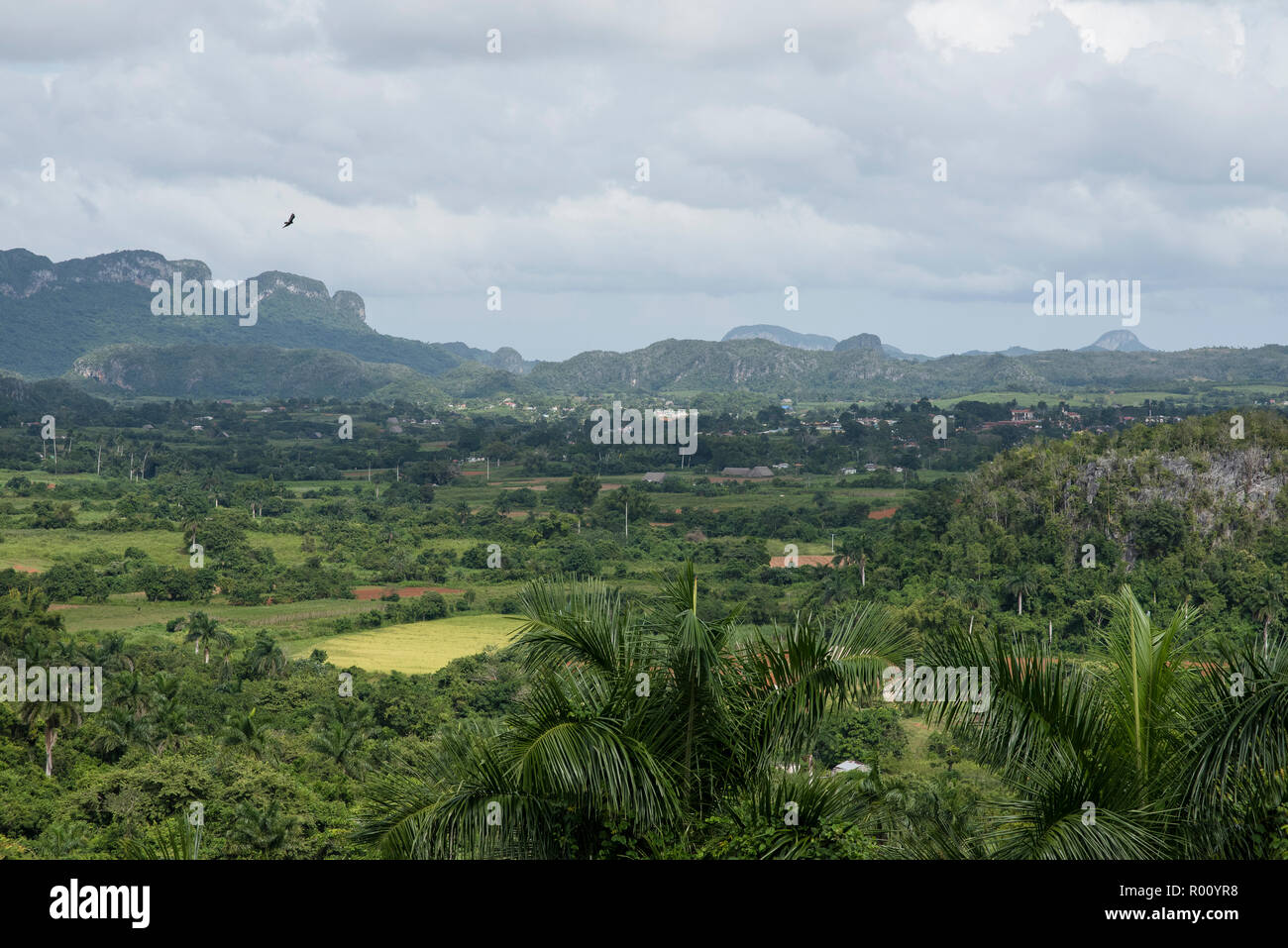 Views of mogotes and the Viñales Valley in Cuba Stock Photo - Alamy