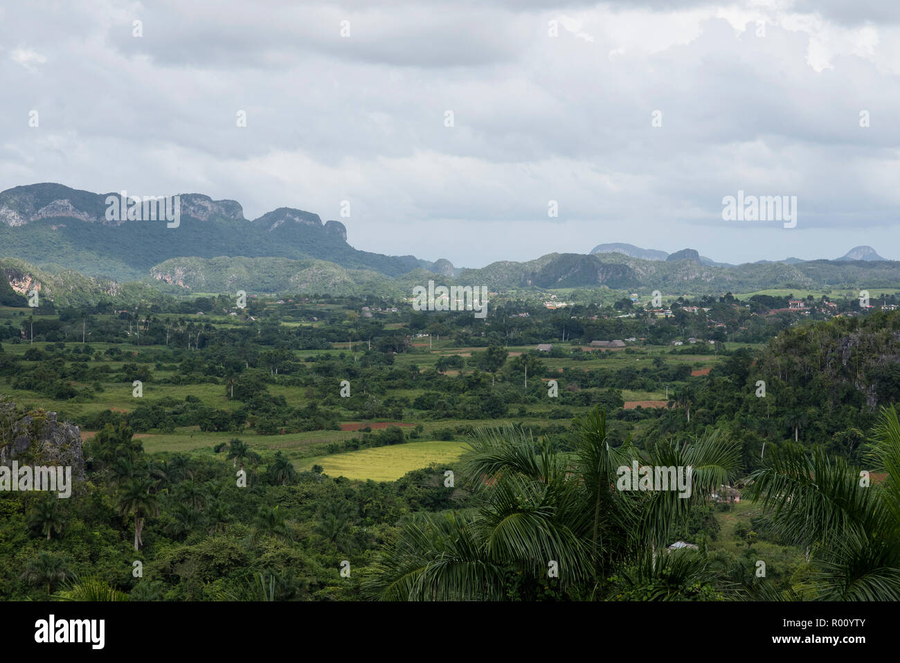 Views of mogotes and the Viñales Valley in Cuba Stock Photo - Alamy