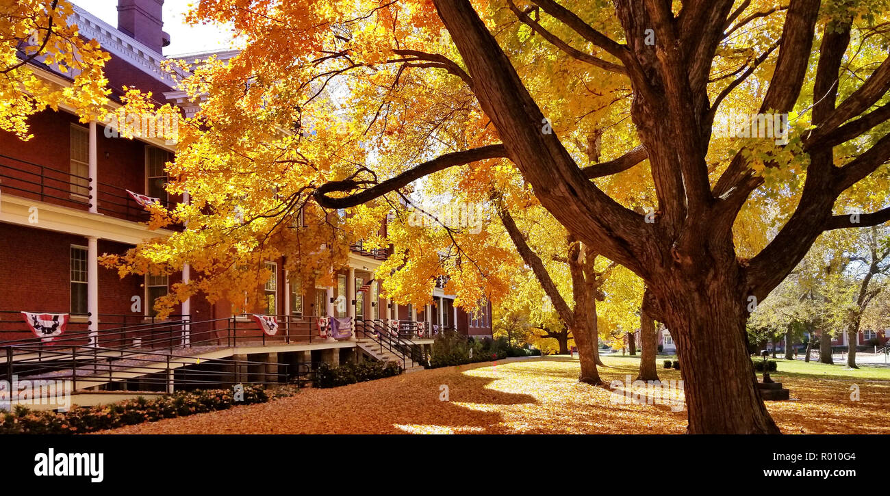 golden sunlight on colorful fall foliage with historic army barracks in ...