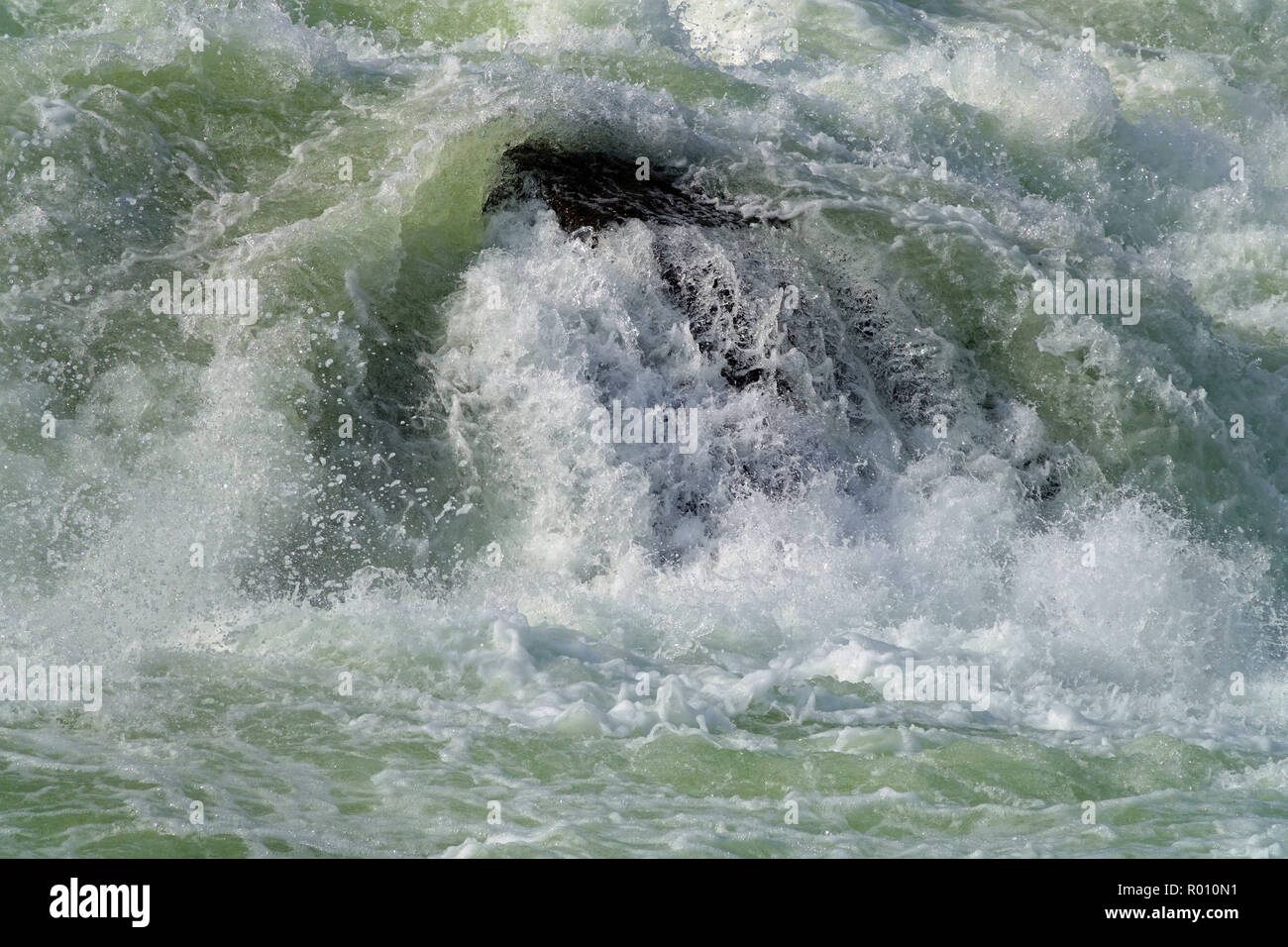rumbling waters crashing over and around rock at Great Falls Stock ...