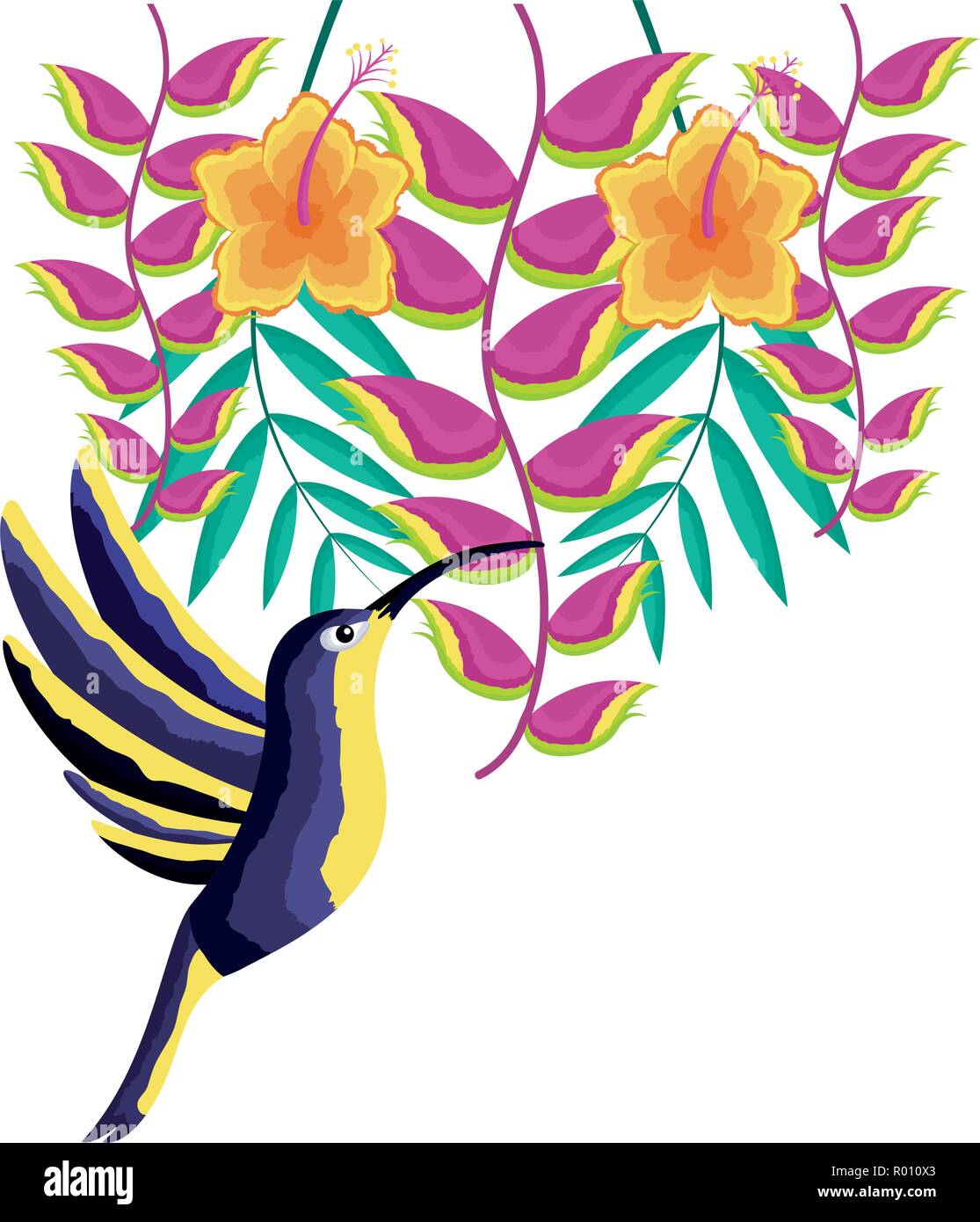 Hummingbird at flowers Stock Vector Images - Alamy