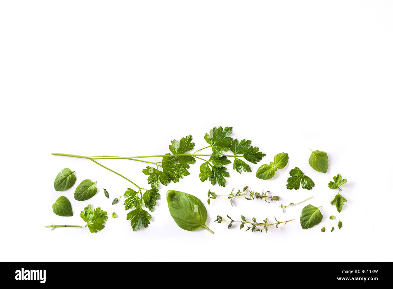 Green fresh aromatic herbs pattern isolated on white background ...
