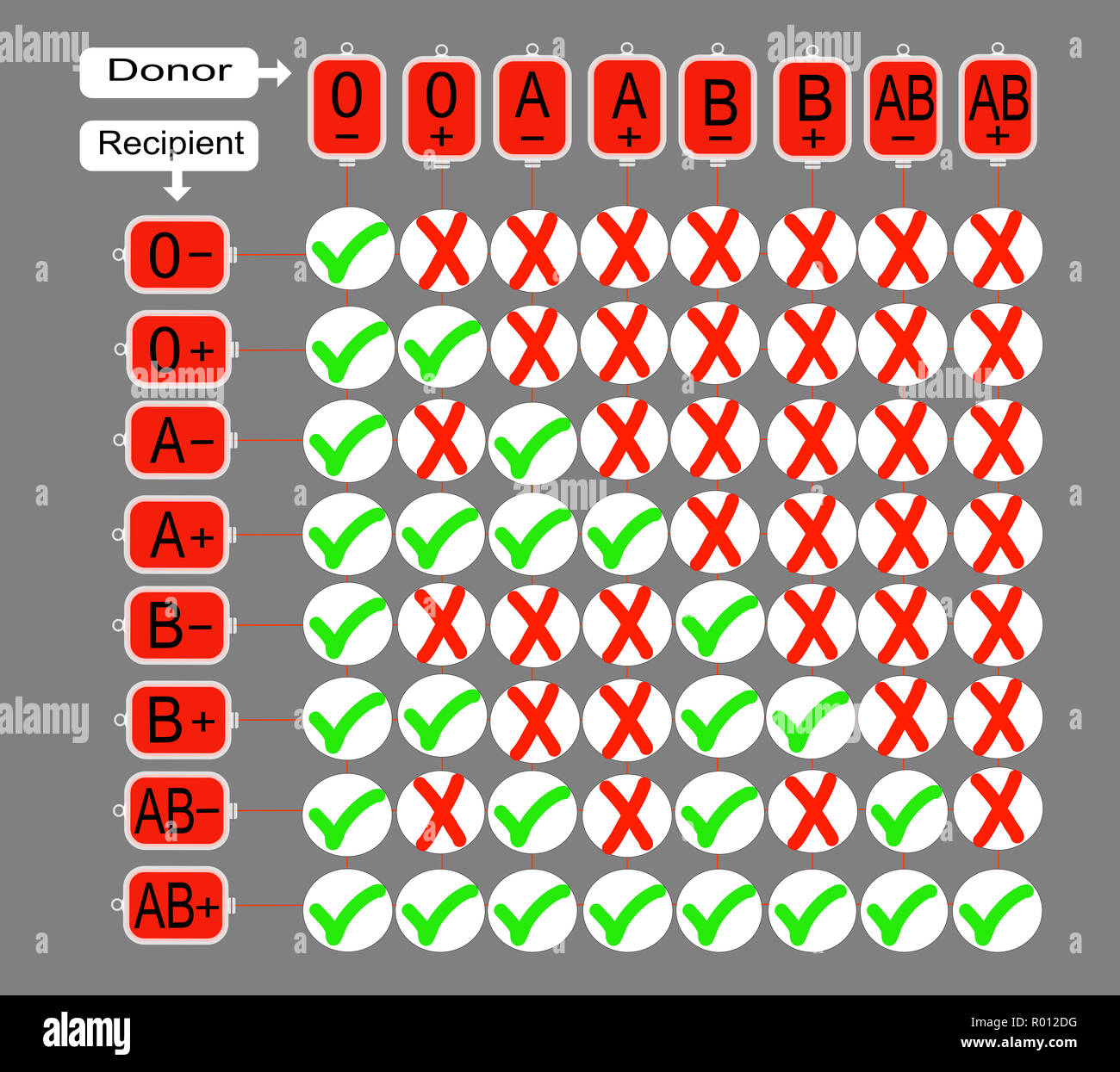 Type ab blood hi-res stock photography and images - Alamy