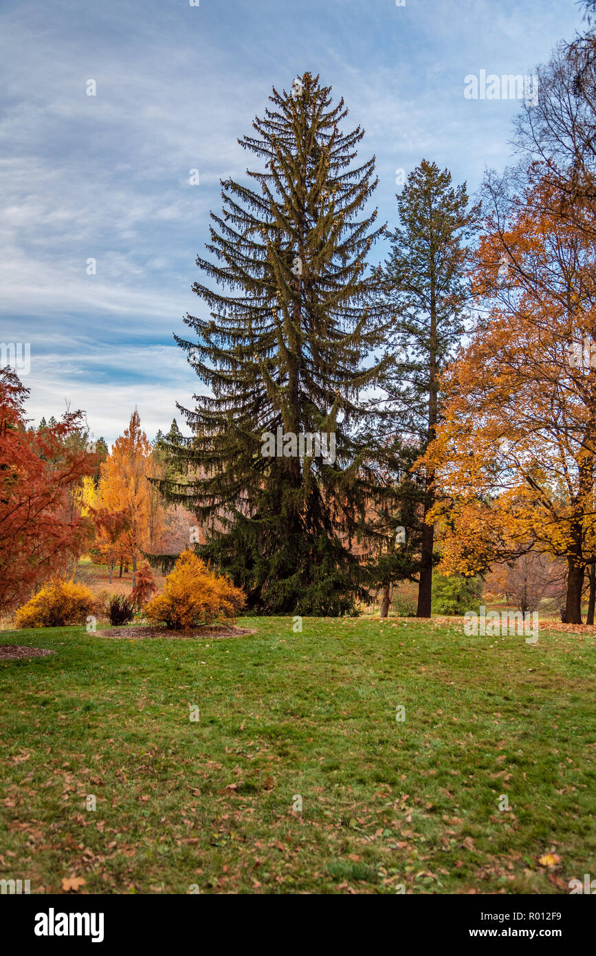 Spokane Washington Scenery Nature High Resolution Stock Photography and ...