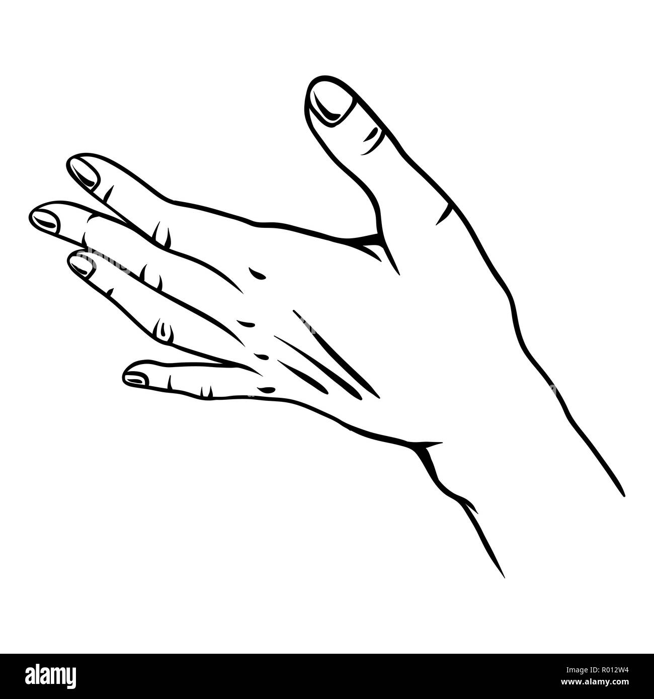 Illustration of human hand Stock Vector Image & Art - Alamy