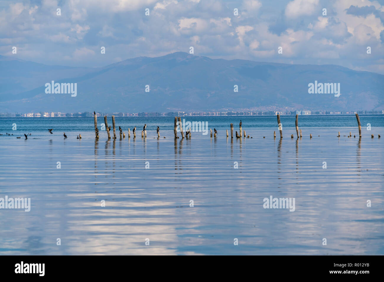 Ohridsee bei der Ortschaft Lin, Albanien, Europa | Lake Ohrid near Lin ...