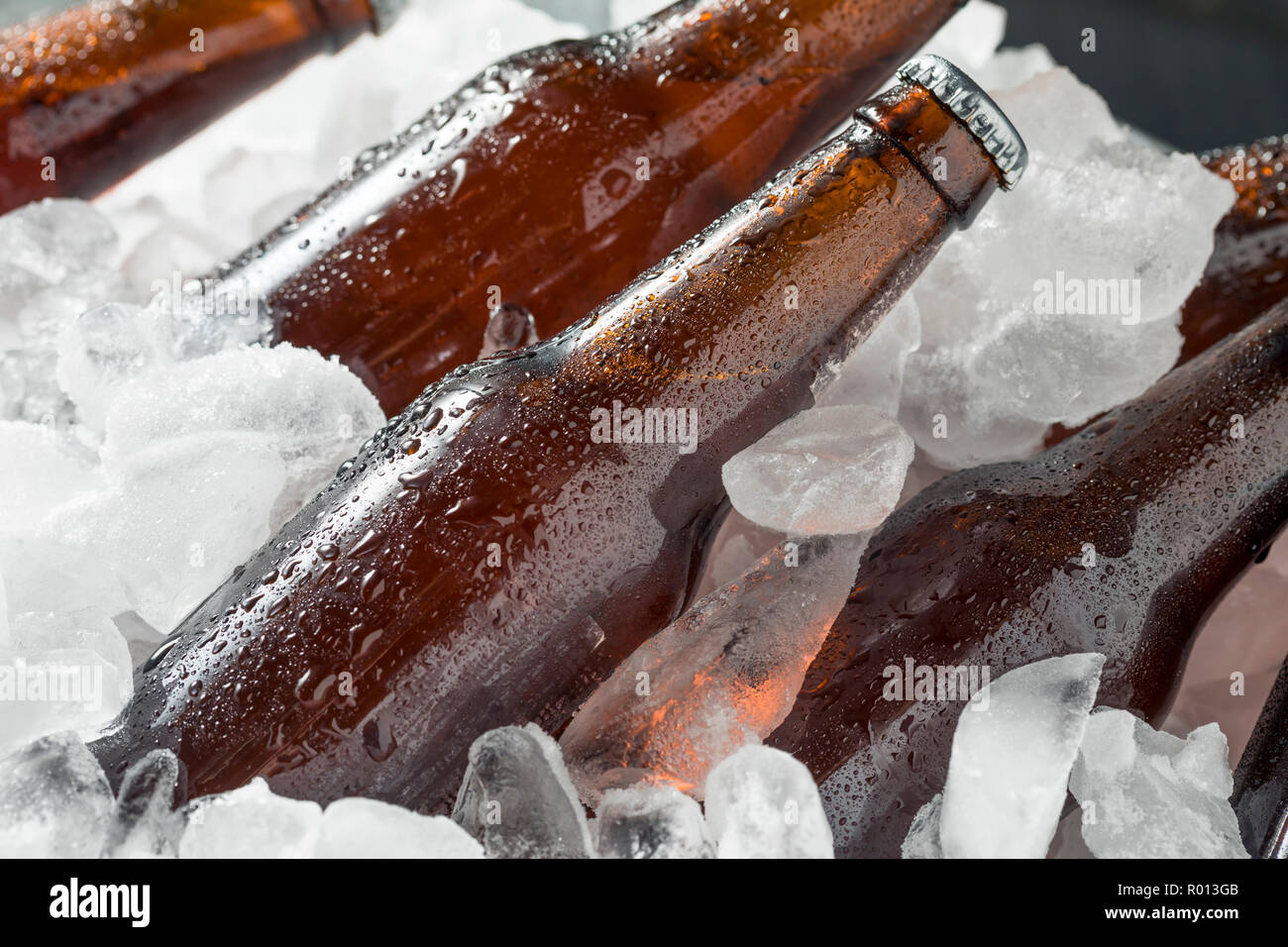 Cold Icy Beer Bottles in a Cooler with Ice Stock Photo - Alamy