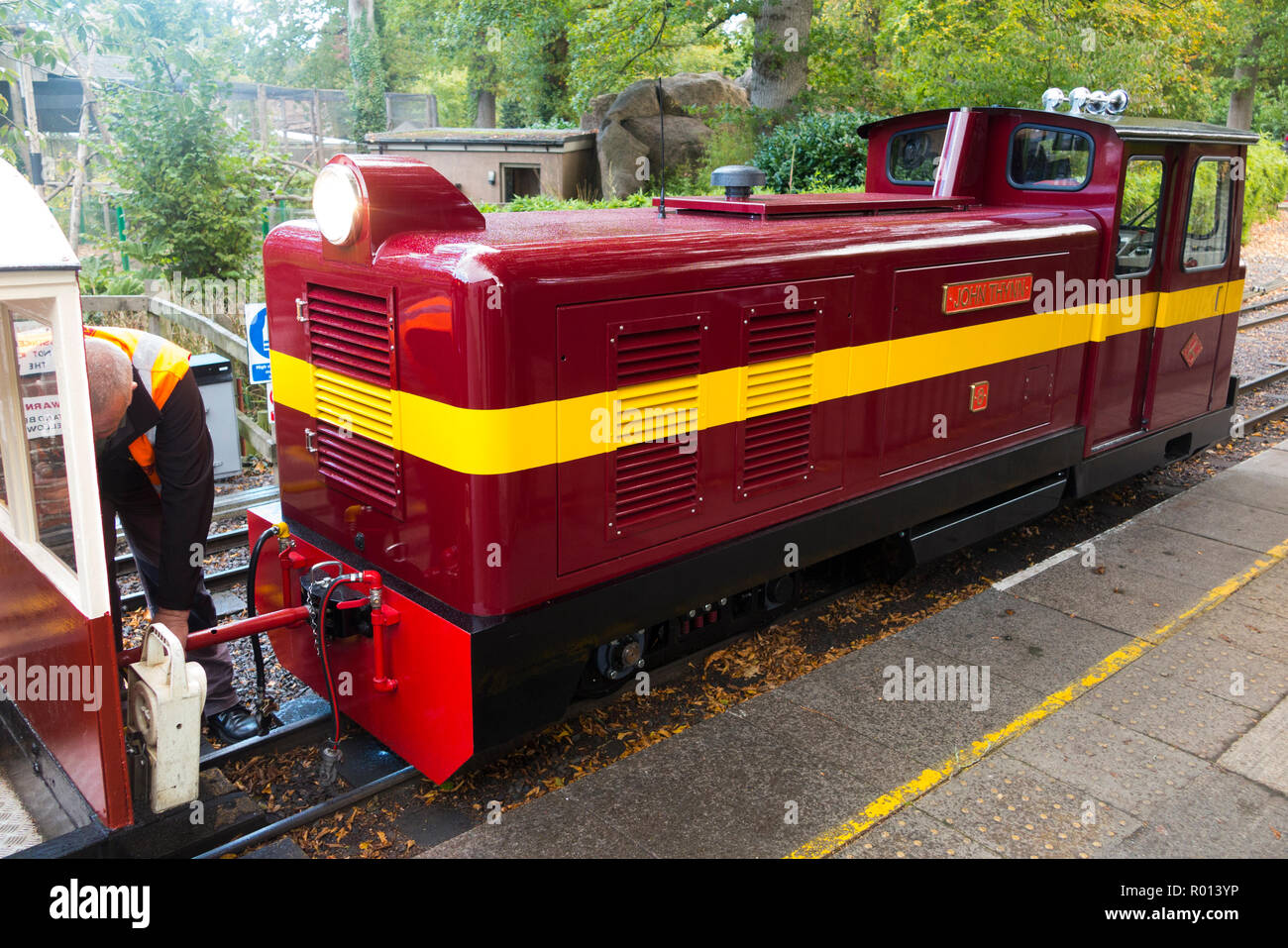 The John Thynn diesel engine loco locomotive which pulls the train ...
