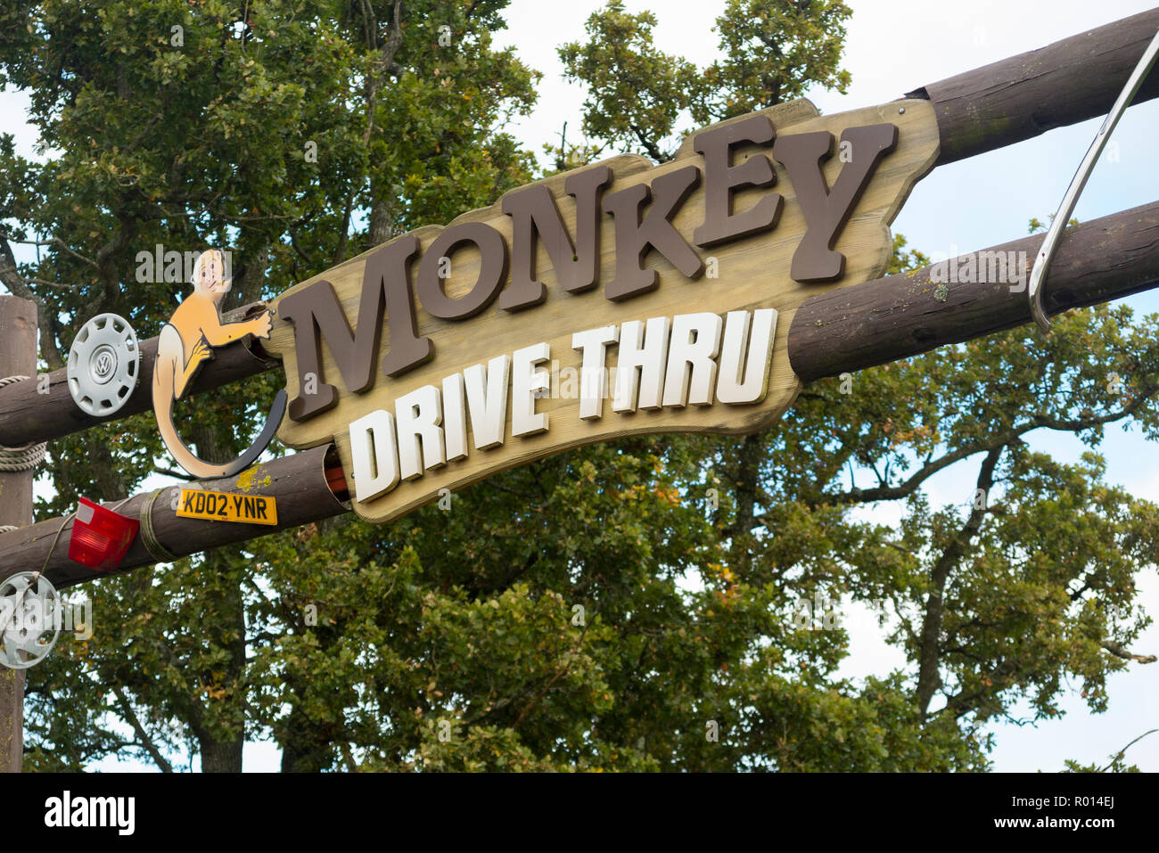 Longleat safari park car hi-res stock photography and images - Alamy