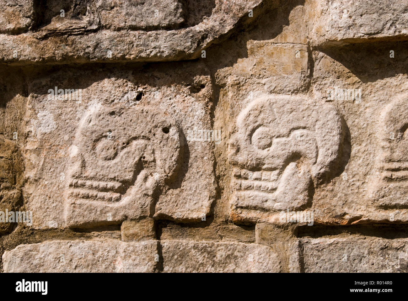 The stone skull platform (tzompantli) decorated with carved images of ...