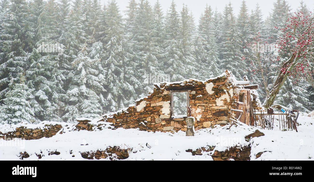 Old abandoned demolished house covered with snow in winter Stock Photo ...