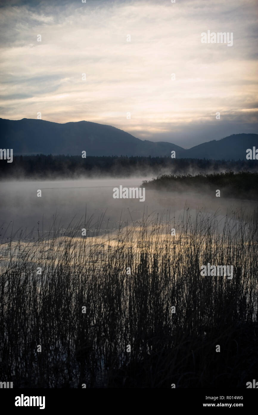 Winding waterway reflects hi-res stock photography and images - Alamy