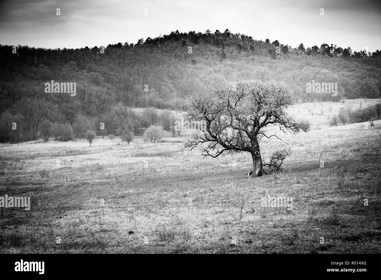 Bright scenic view dramatic Black and White Stock Photos & Images - Alamy
