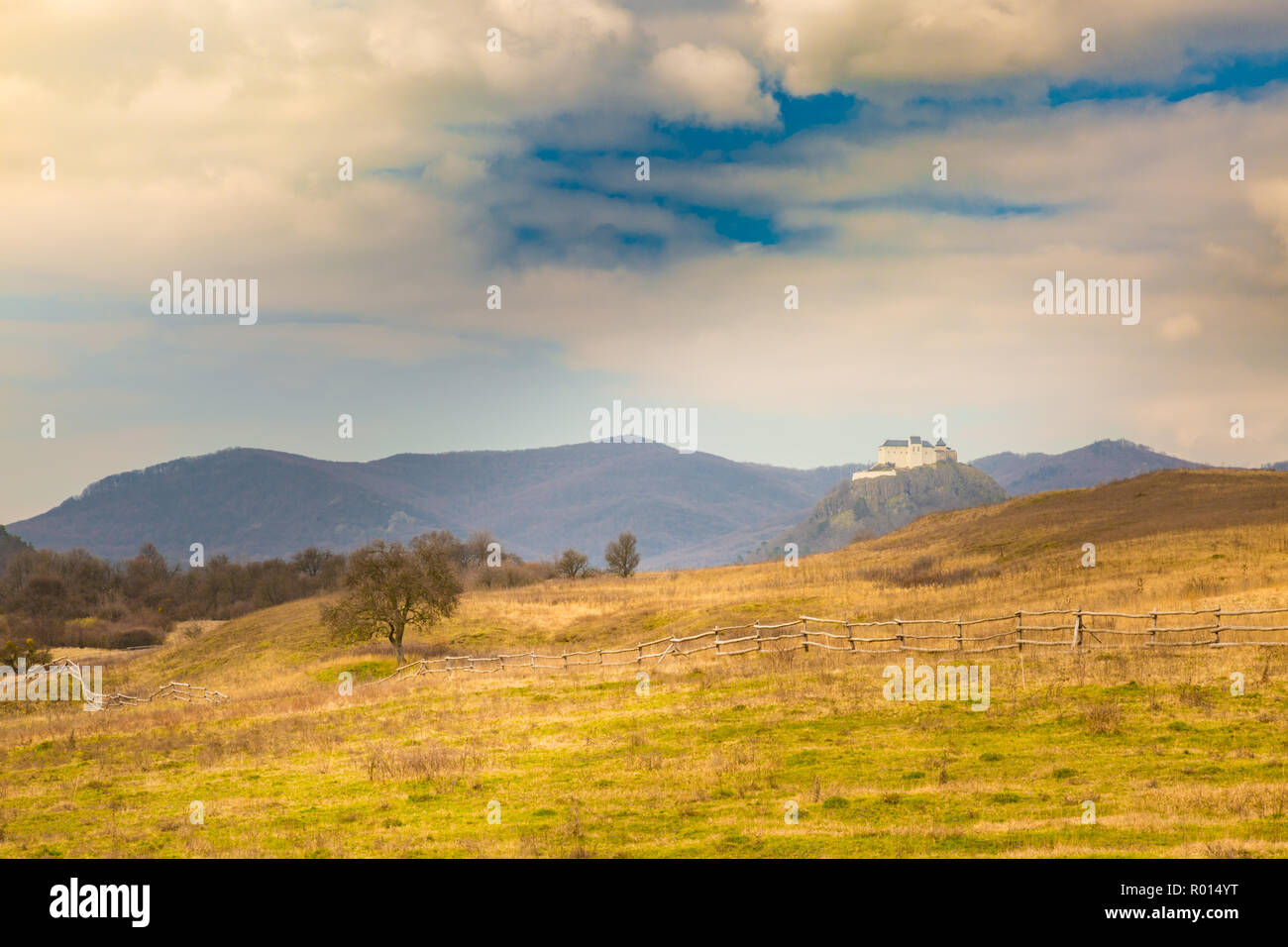 Dramatic field landscape, tree and meadows Stock Photo - Alamy