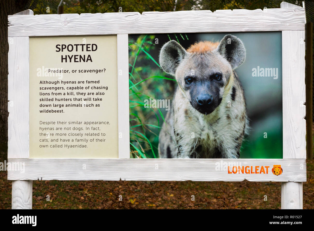 Hyena Information signs for visitors and car passengers and drivers ...