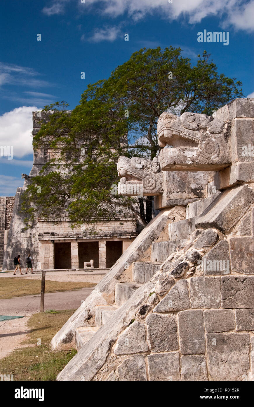 Serpent snake temple stairs hi-res stock photography and images - Alamy