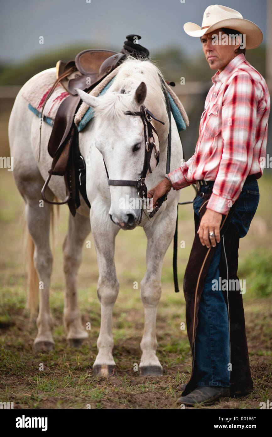 Man standing beside horse Stock Photo - Alamy
