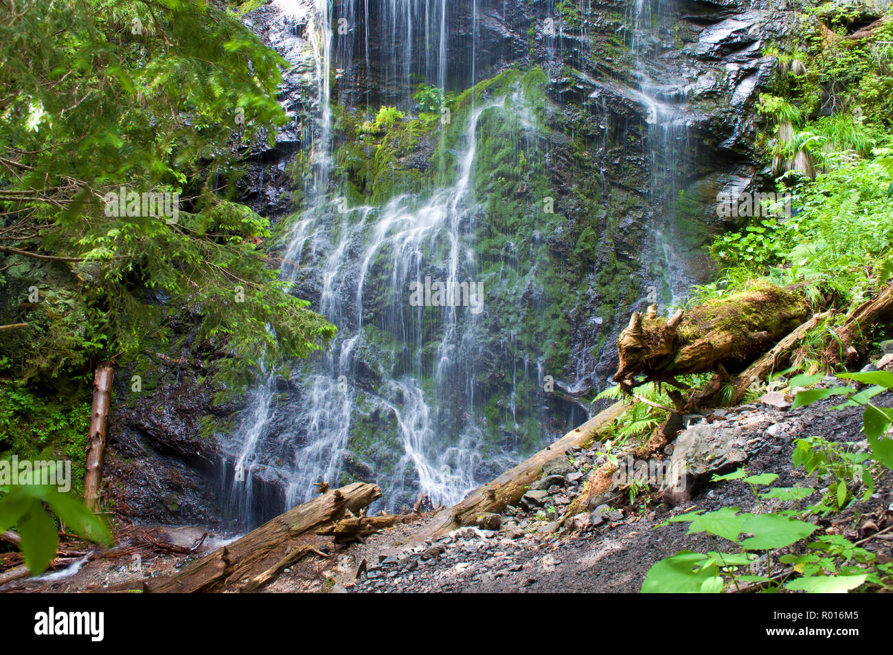 Waterfall and trees hi-res stock photography and images - Alamy