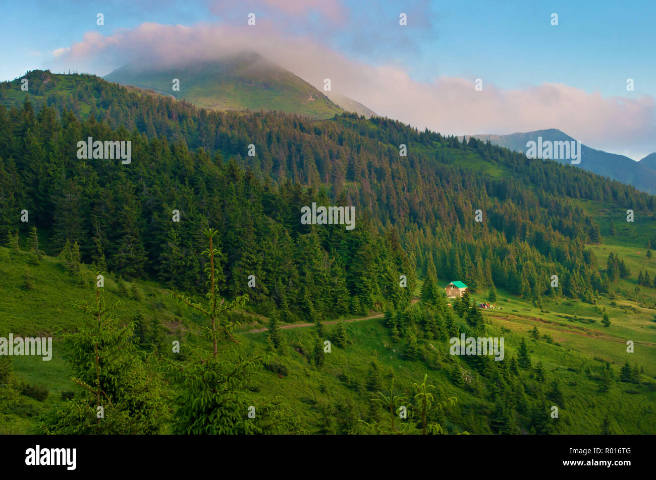 Tree top hut hi-res stock photography and images - Alamy