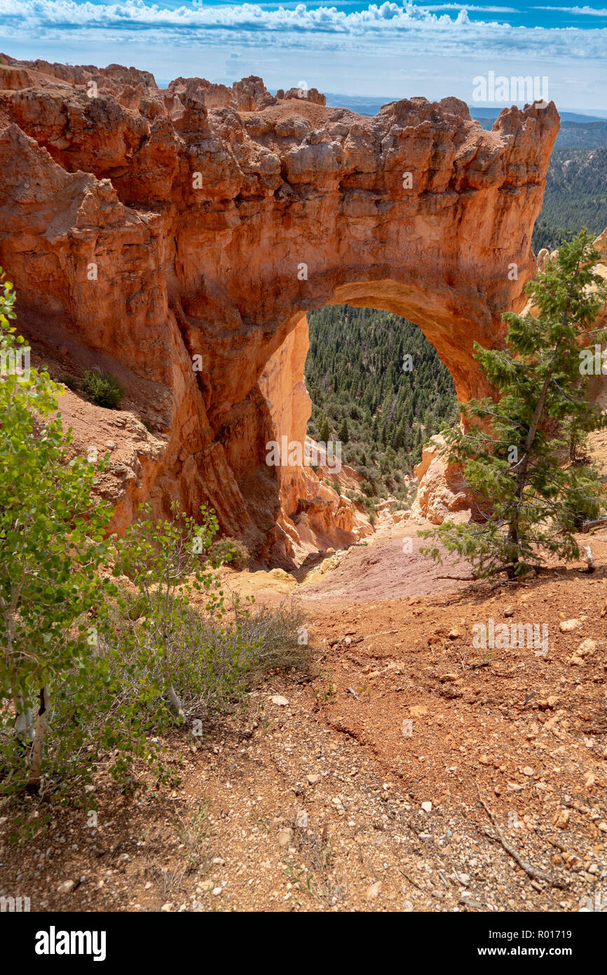 Portrait view of Natural Bridge in Bryce Canyon National Park in Utah ...