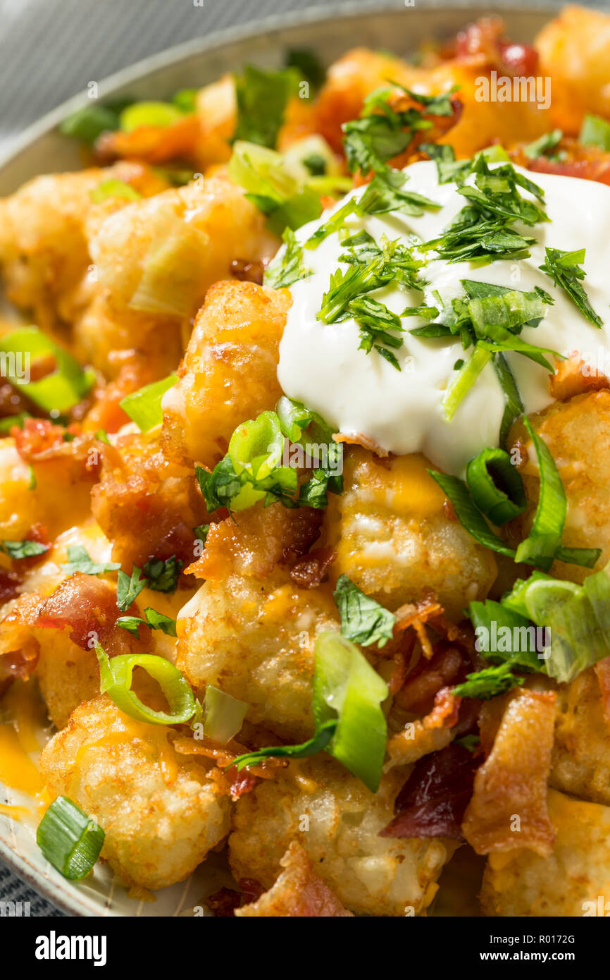 Spicy Homemade Loaded Taters Tots with Cheese and Bacon Stock Photo - Alamy