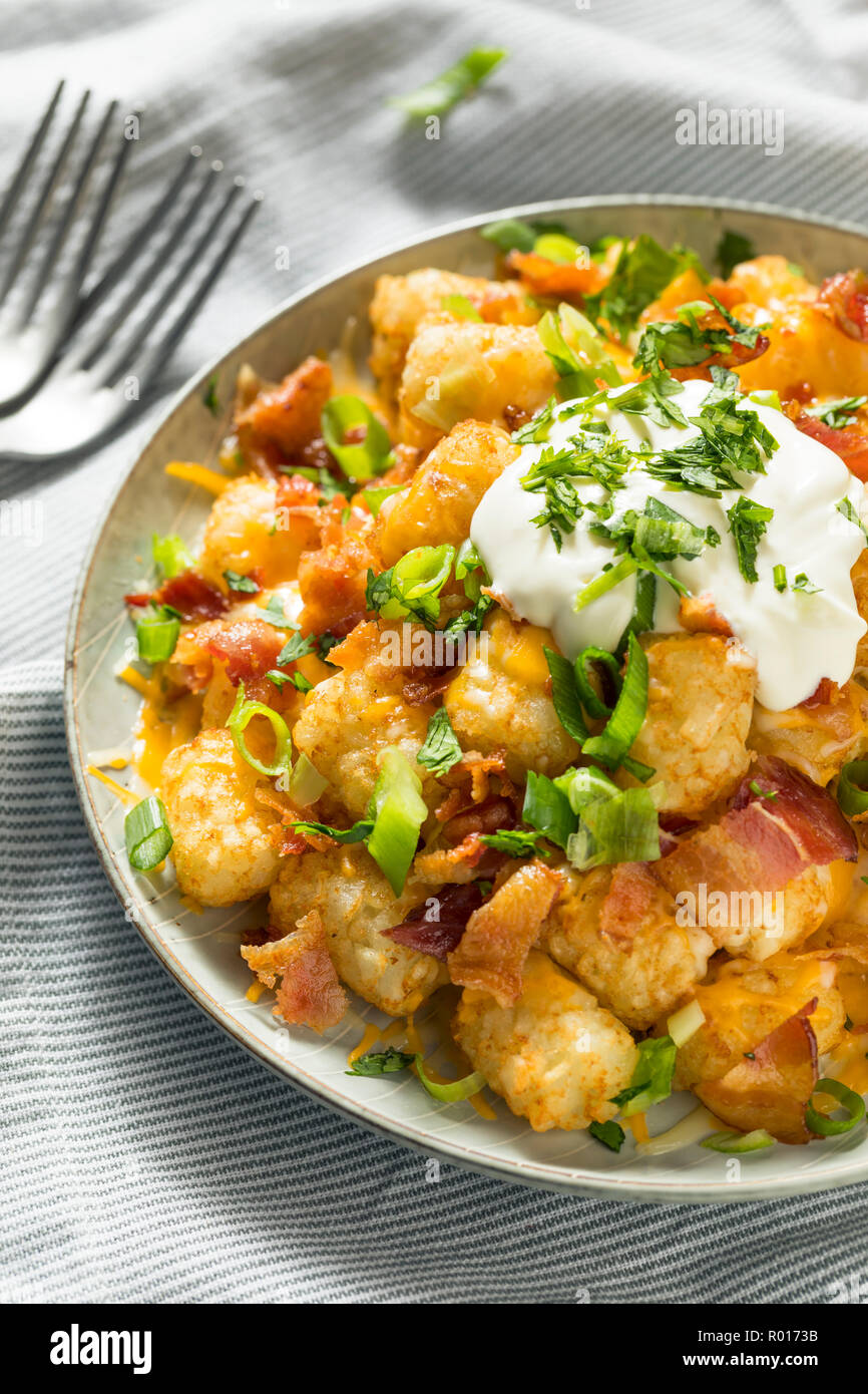 Spicy Homemade Loaded Taters Tots with Cheese and Bacon Stock Photo - Alamy