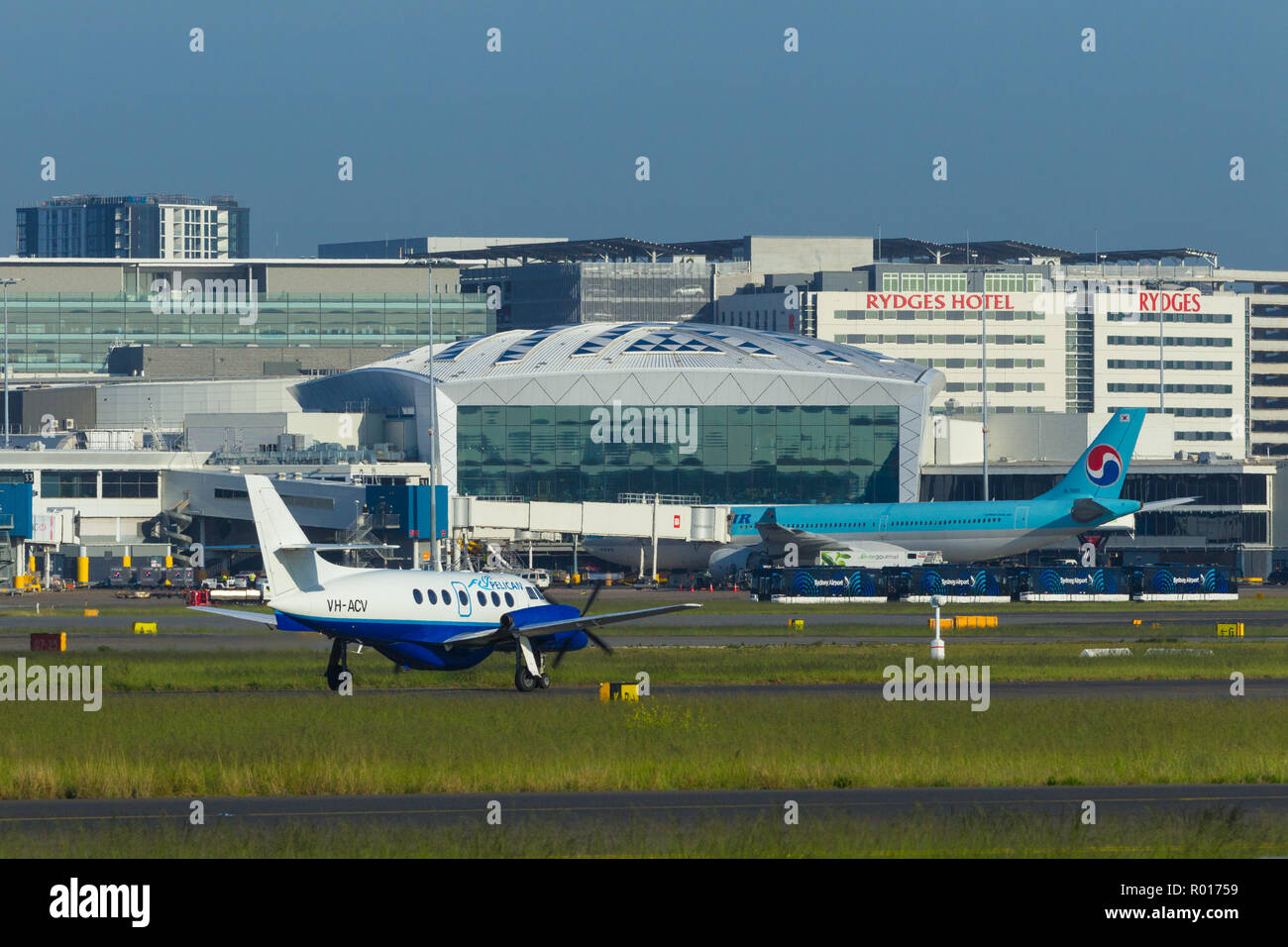 Flypelican hi-res stock photography and images - Alamy