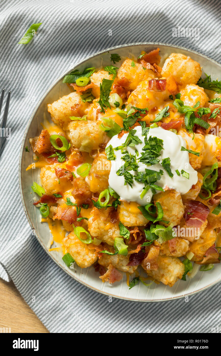 Spicy Homemade Loaded Taters Tots with Cheese and Bacon Stock Photo - Alamy