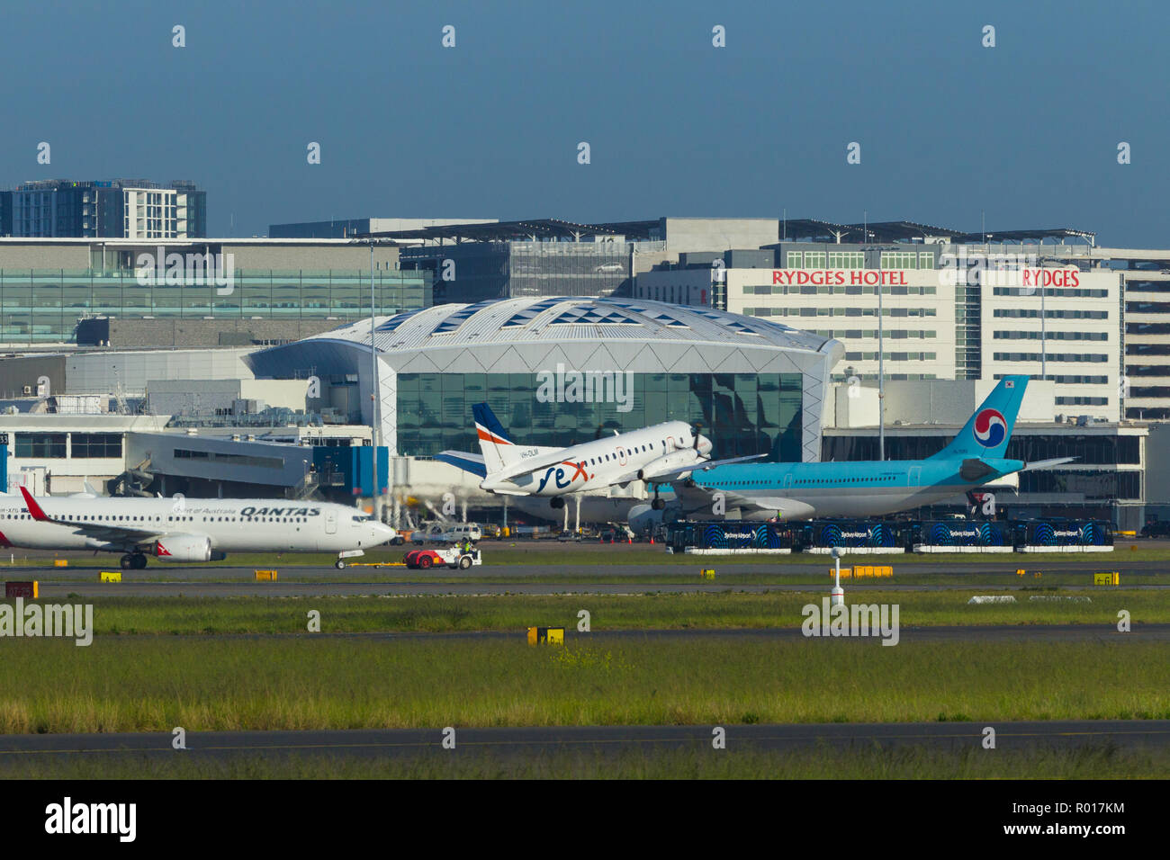 Rex airlines hi-res stock photography and images - Alamy