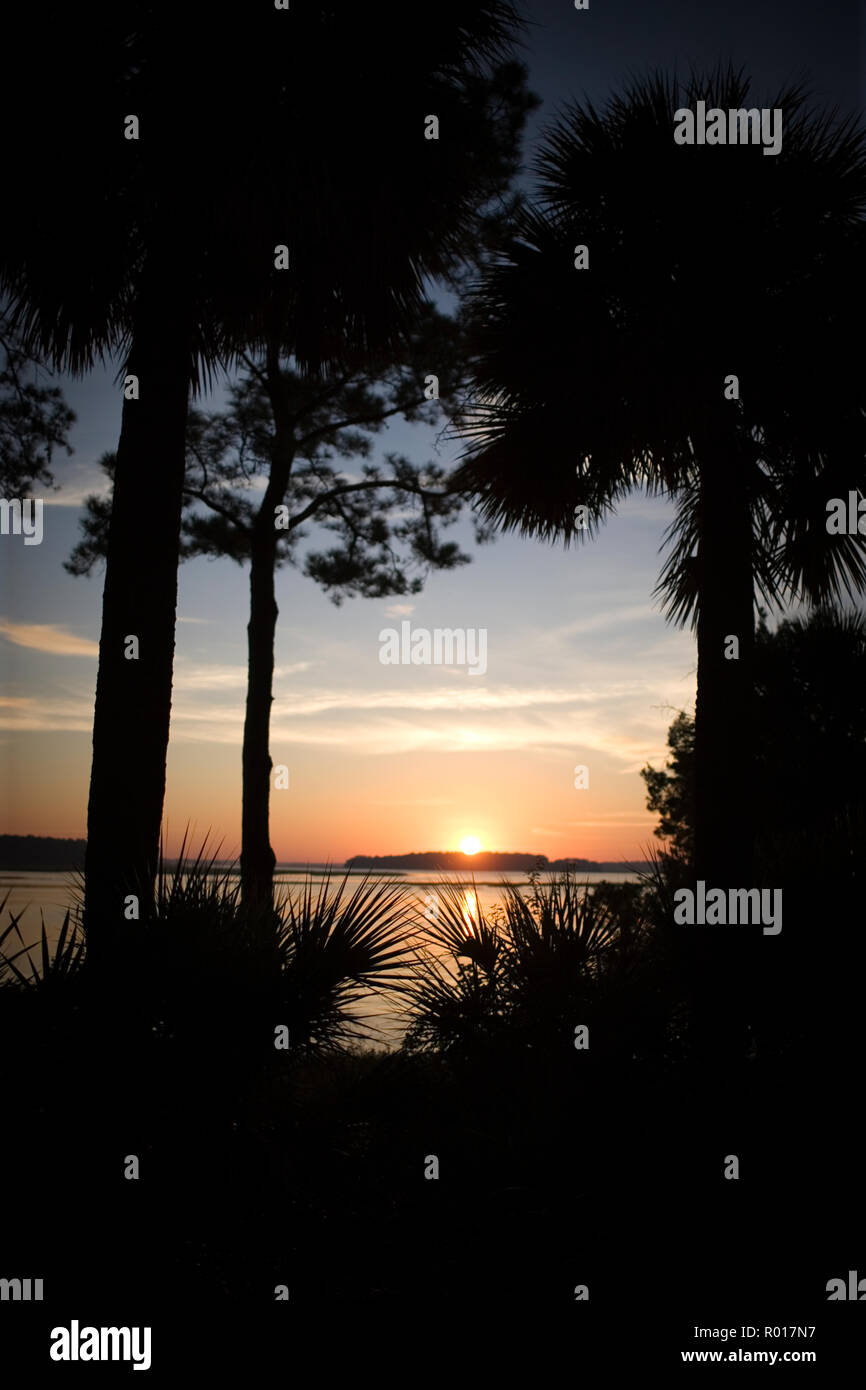 Sun rising through trees and over water Stock Photo - Alamy