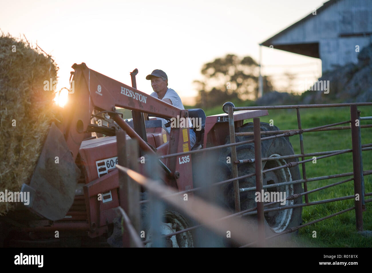 Farmer lifting hay bale with tractor Stock Photo - Alamy