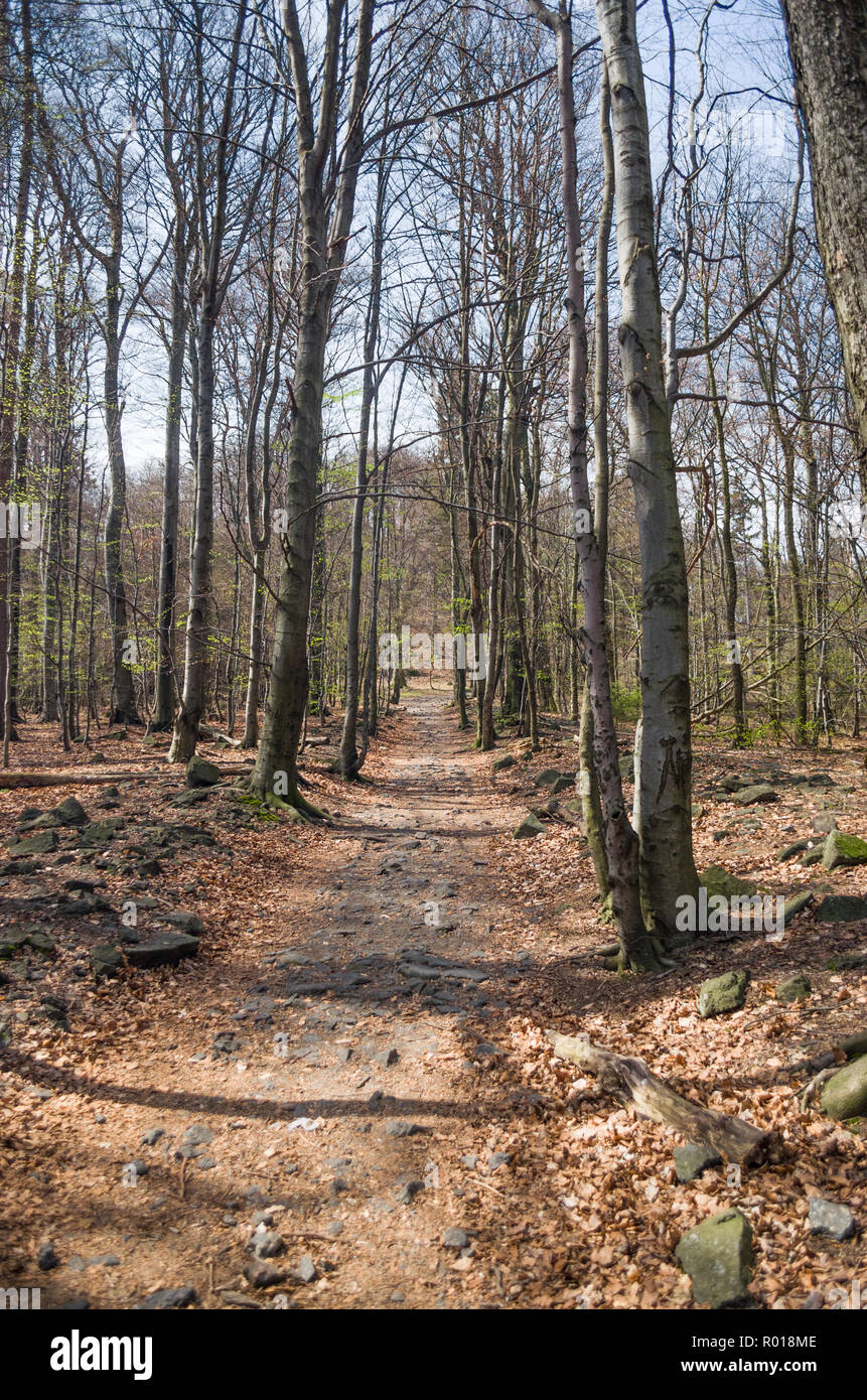 Mount Ślęża- ancient pagan holly place, now popular walking area close ...