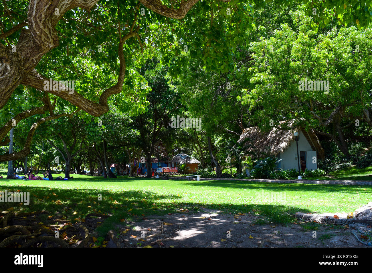 Park with little huts in caribbean sea Stock Photo - Alamy