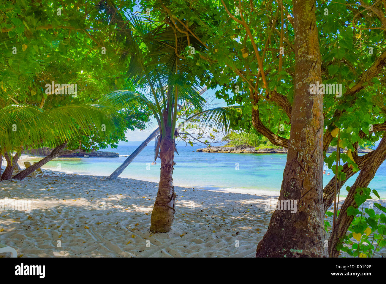 Beachview through trees on tropical island in front of blue ocean ...