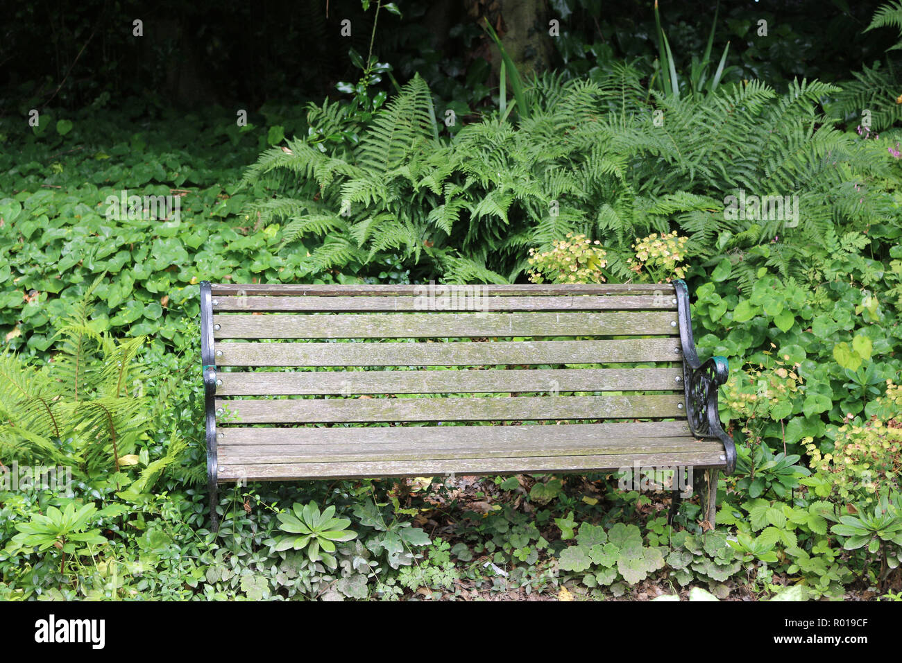 Shady Seating High Resolution Stock Photography and Images - Alamy