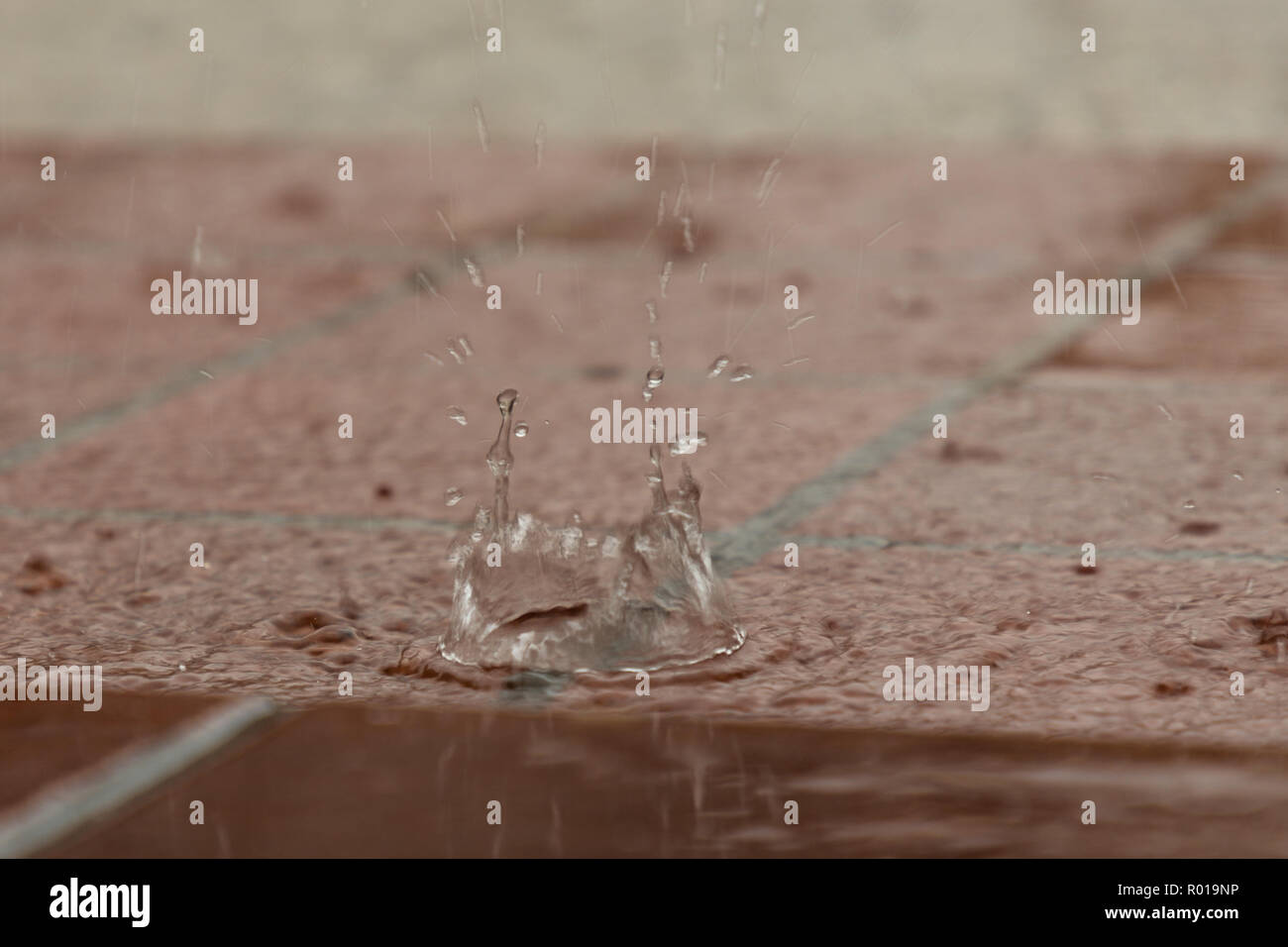 drop of rain on a brick pavement Stock Photo - Alamy