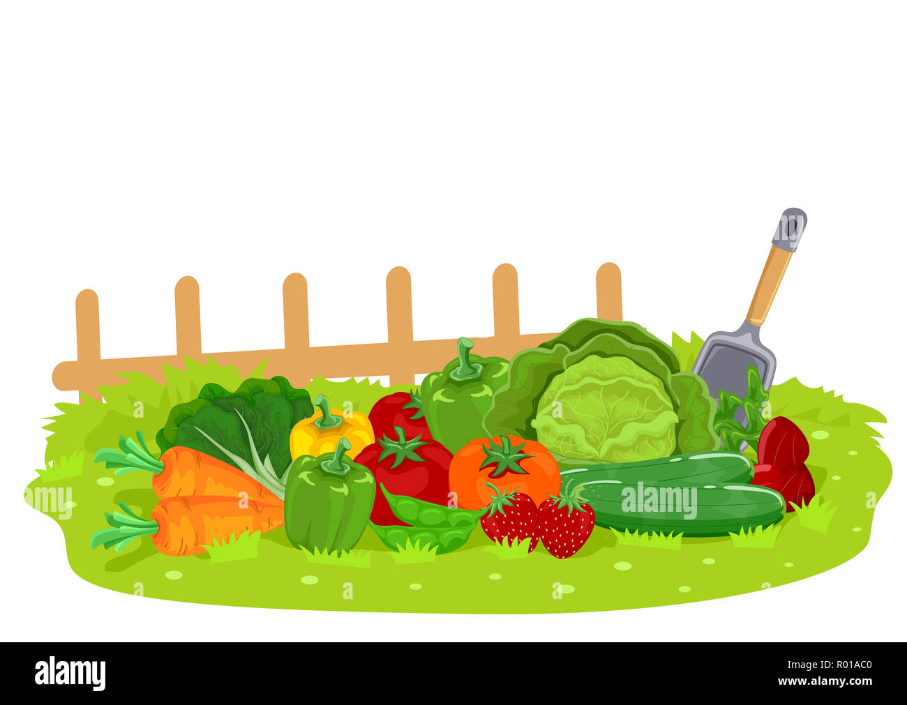 Vegetable Garden Cartoon