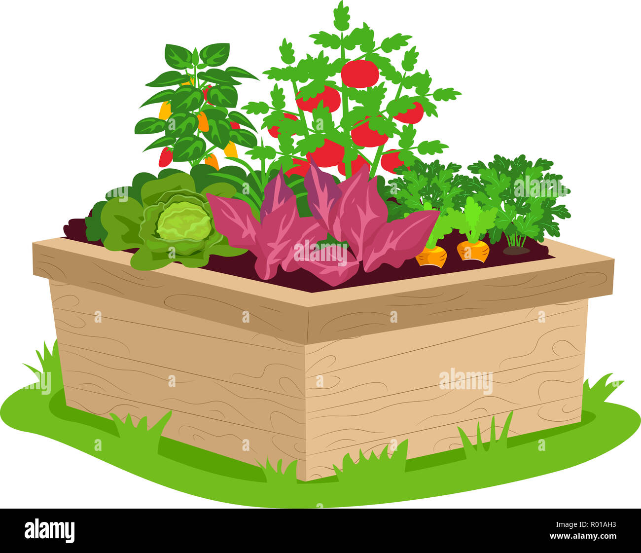 Illustration of a Square Garden Container Filled with Vegetables of ...